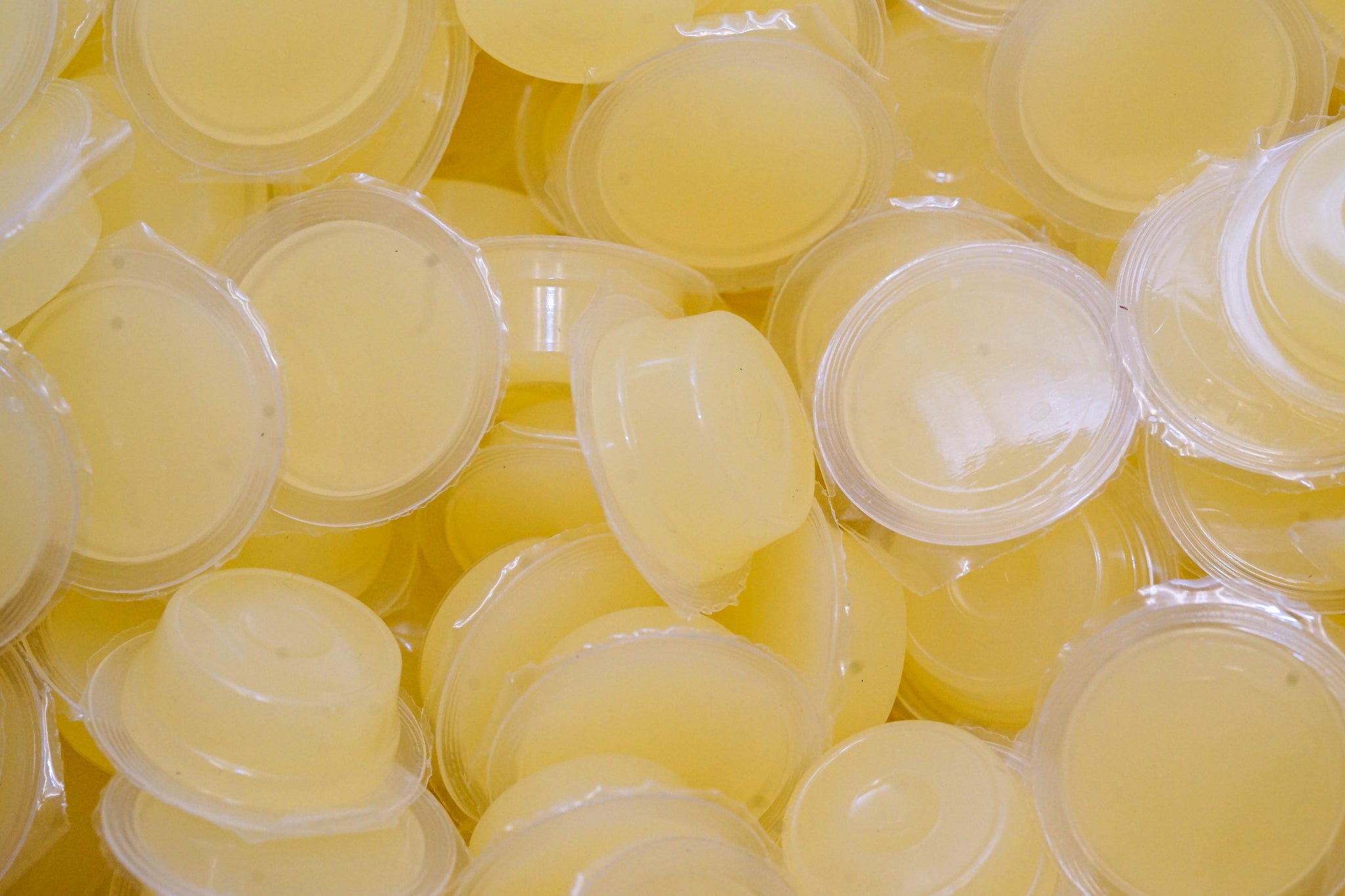 Beetle jelly for sale – David's Beetles