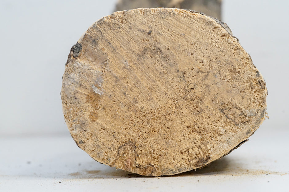 Supplies – David's Beetles