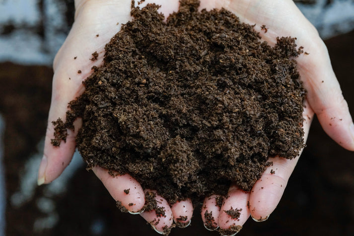 Flake soil – David's Beetles